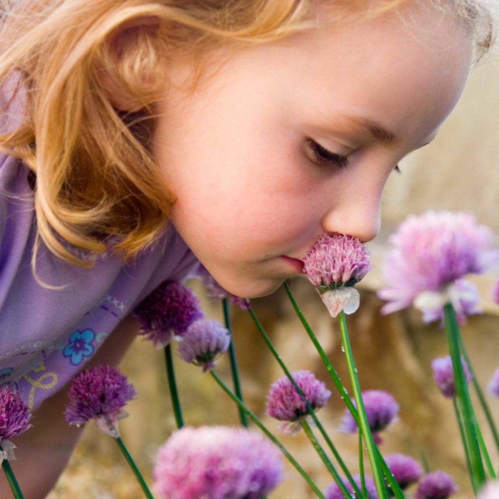 Tot Discovery Day: See! Smell! Hear! Feel! | Eugene Science Center
