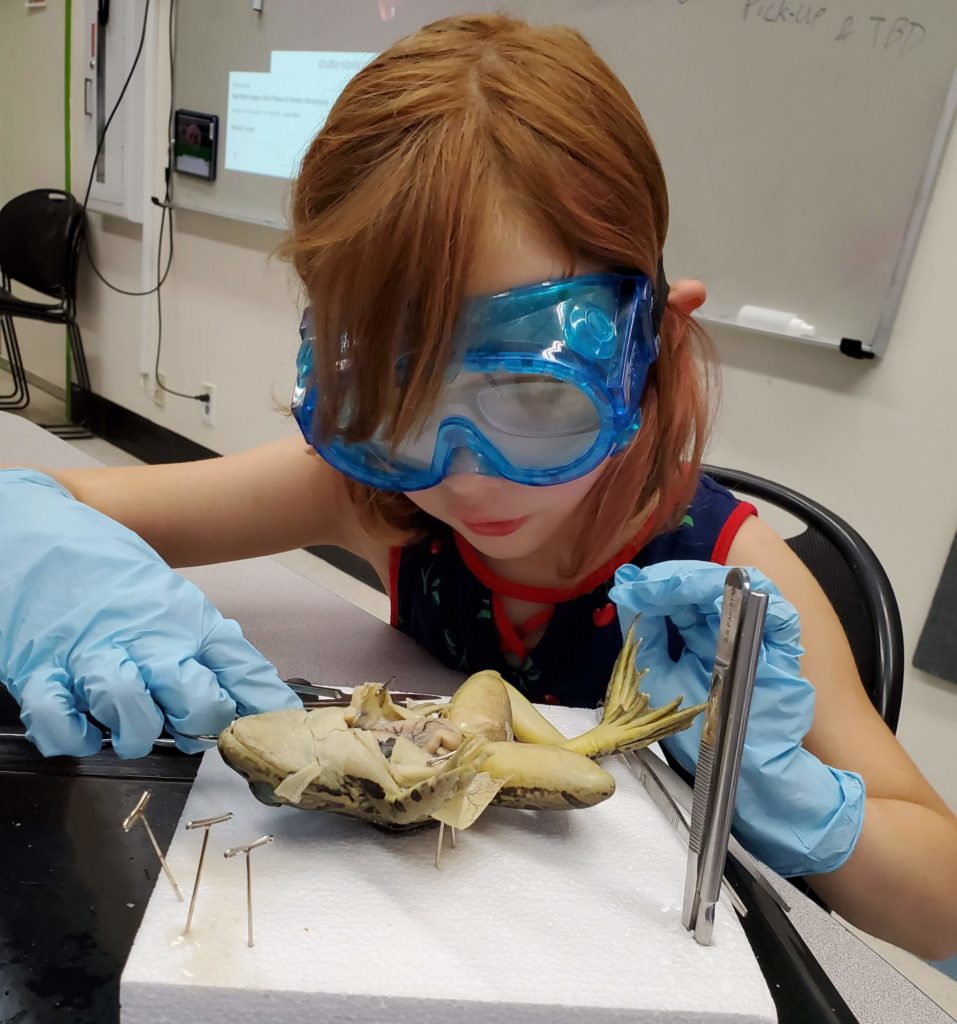 Enrichment Labs | Eugene Science Center