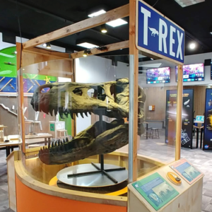 Main Hall | Eugene Science Center